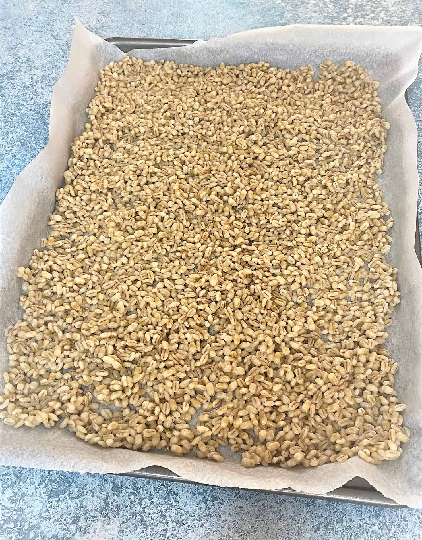 Barley: Instant Pot magic with an ancient grain – Food Hall by Jani