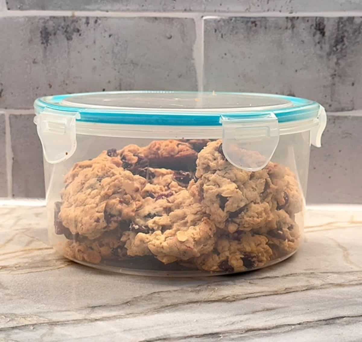 Cranberry Chocolate Chip Oatmeal Cookie – Food Hall by Jani